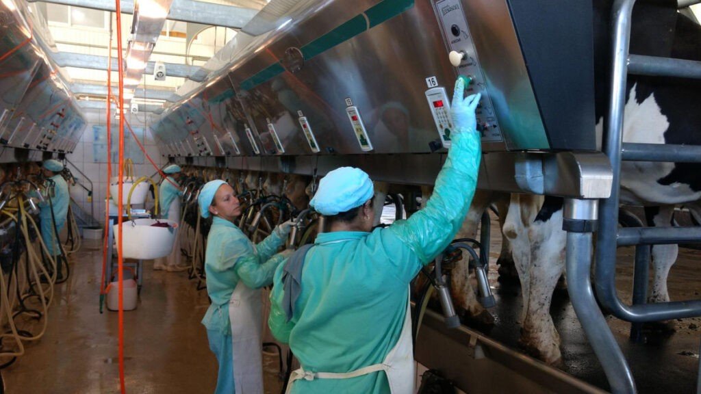 Brazilian dairy farm invests in Gea's sustainable technology
