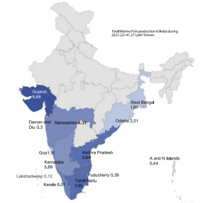 India among top five fish-exporting nations in world: report