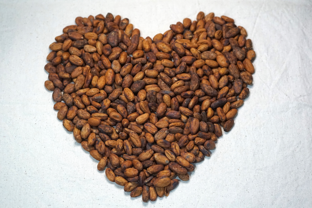 A journey of chocolate exploration