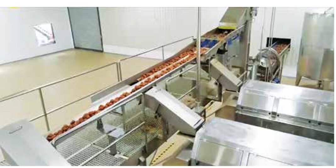 Balaji Wafers sells 7% stake for ₹2,500 cr to General Atlantic